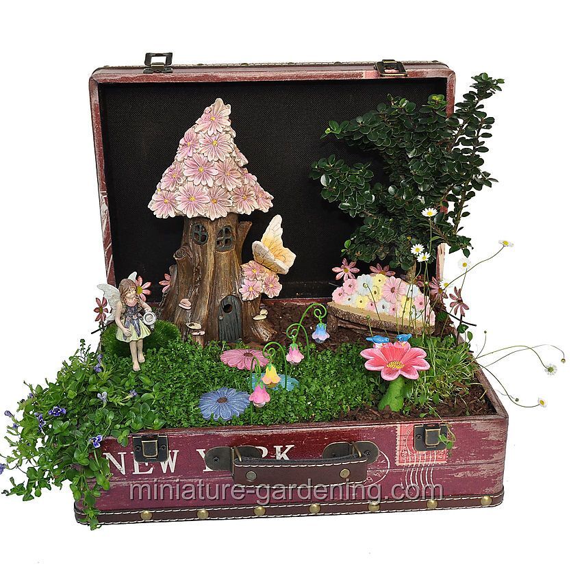 Top Ten Unique Container Ideas for a Fairy Garden - Winter Greenhouse