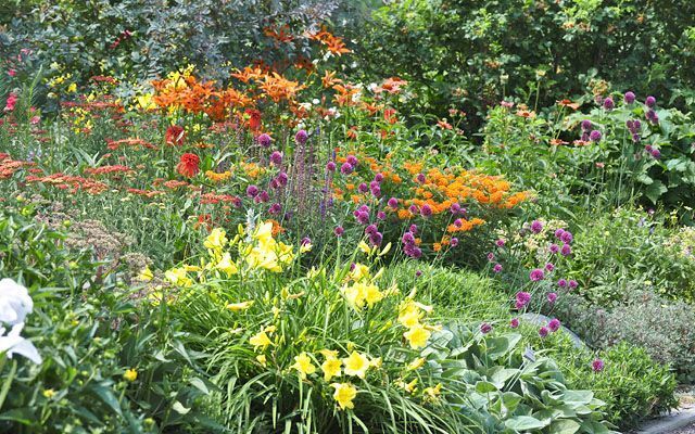 Display Garden - Winter Greenhouse
