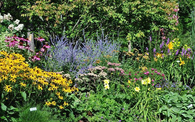 Display Garden - Winter Greenhouse