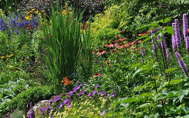 Display Garden - Winter Greenhouse