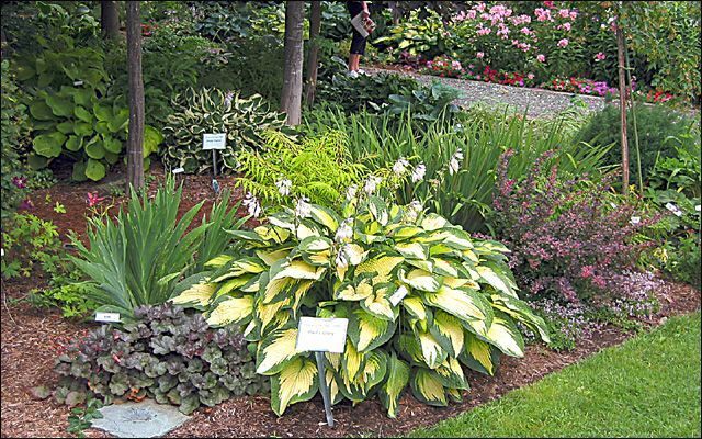 Display Garden - Winter Greenhouse
